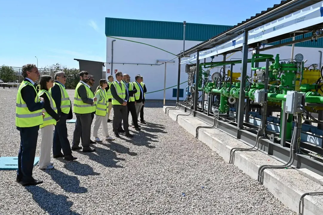 Spain Achieves Historic Milestone with Green Hydrogen Injection into ...